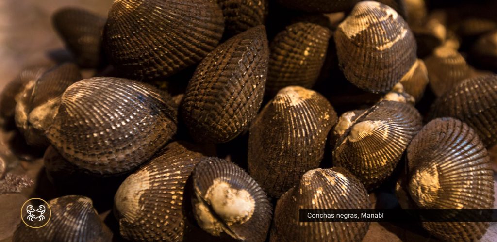 Actividades – Punta COCO – Beach & Pool – Hoteles en Cojimies Manabí ...