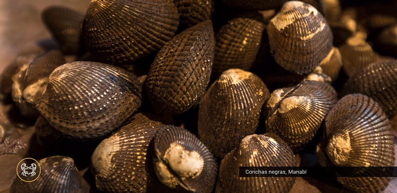 ¿Qué hacer en Cojimíes? – Punta COCO – Beach & Pool – Hoteles en ...